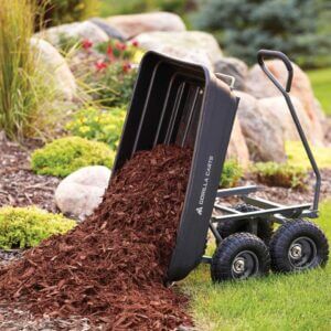 GOR4PS (-C), (AU) - Gorilla