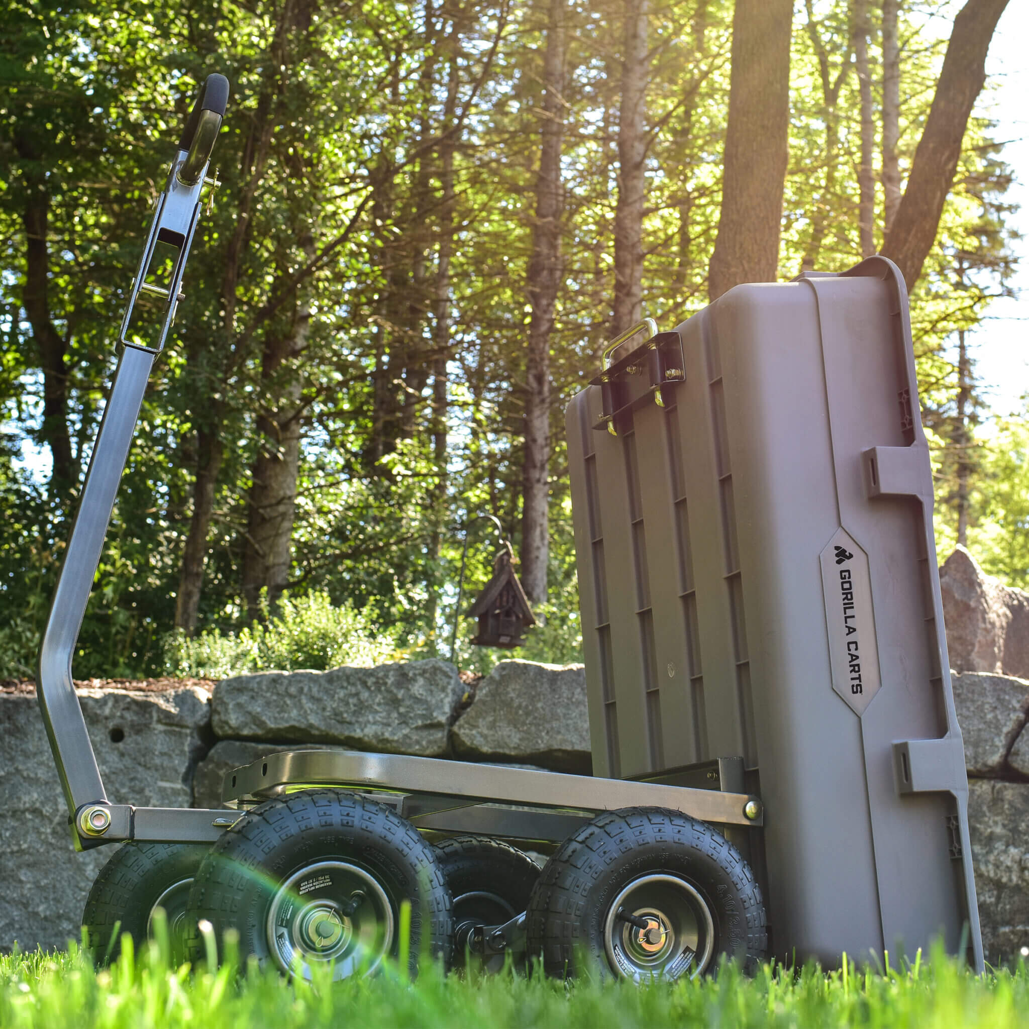 GCG-4 (-C) - Gorilla