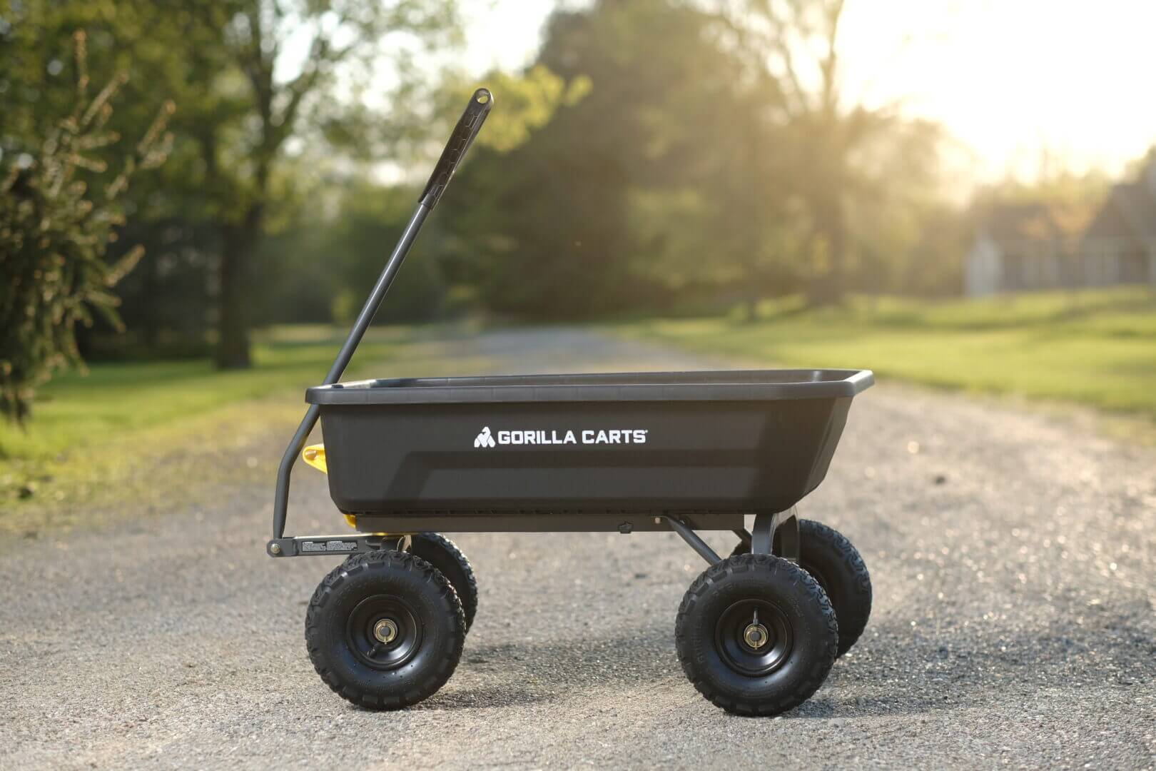 GCG-4 (-C) - Gorilla