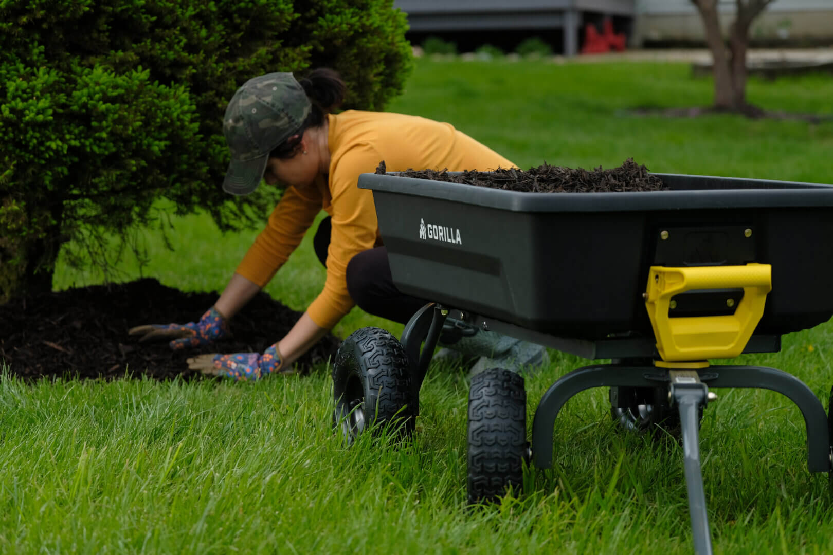 GCG-4 (-C) - Gorilla