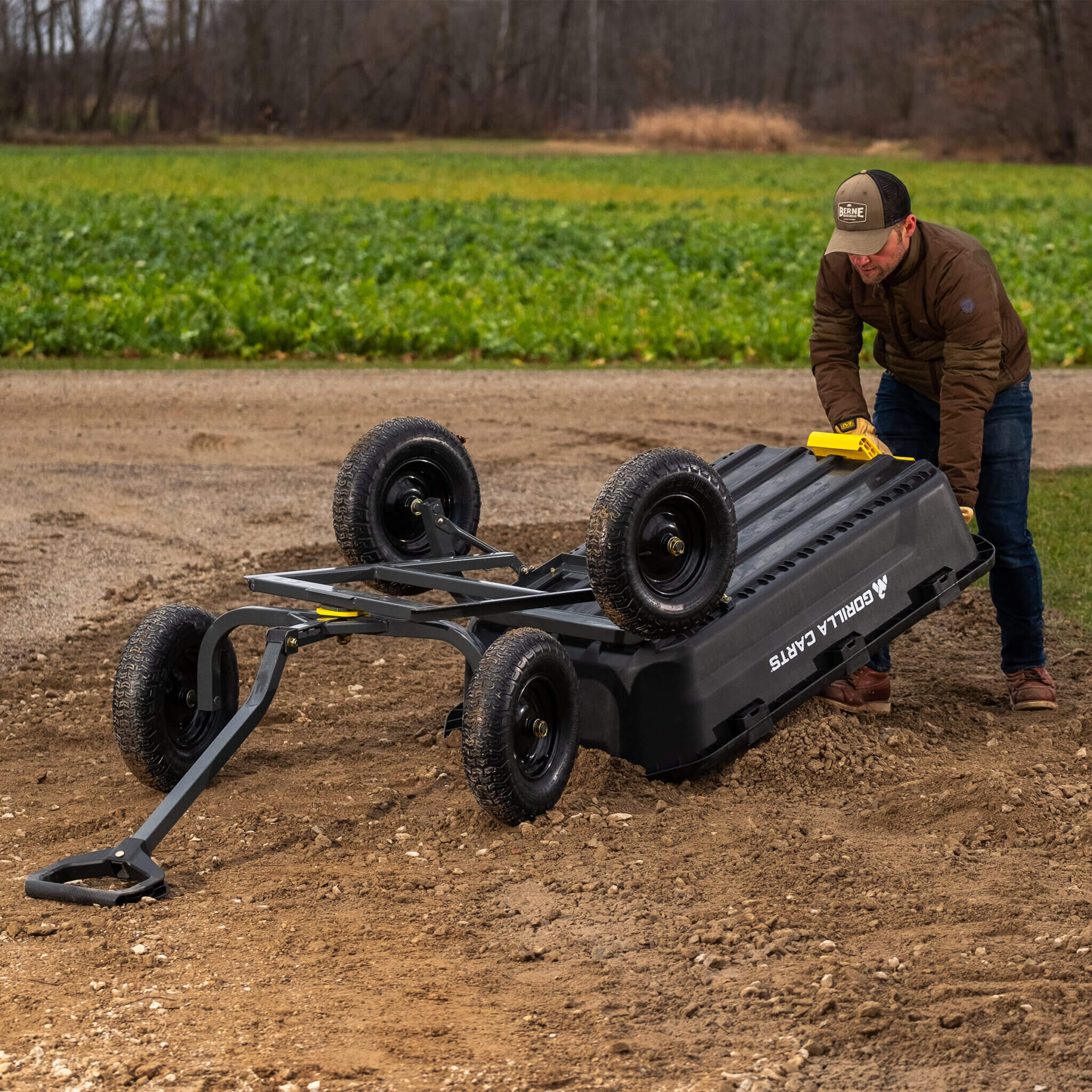 GCG-4 (-C) - Gorilla