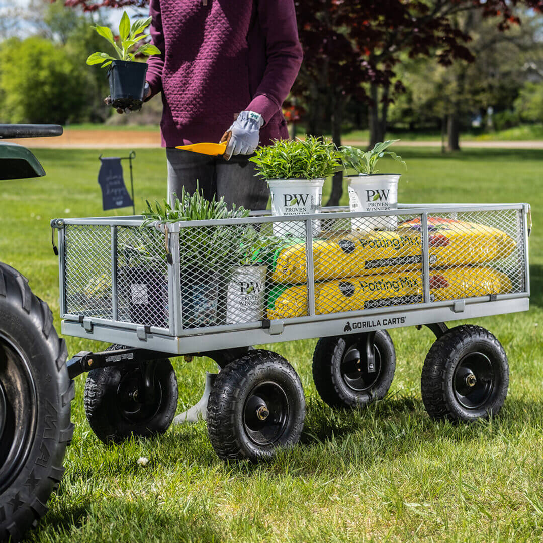 GOR400(-COM) - Gorilla