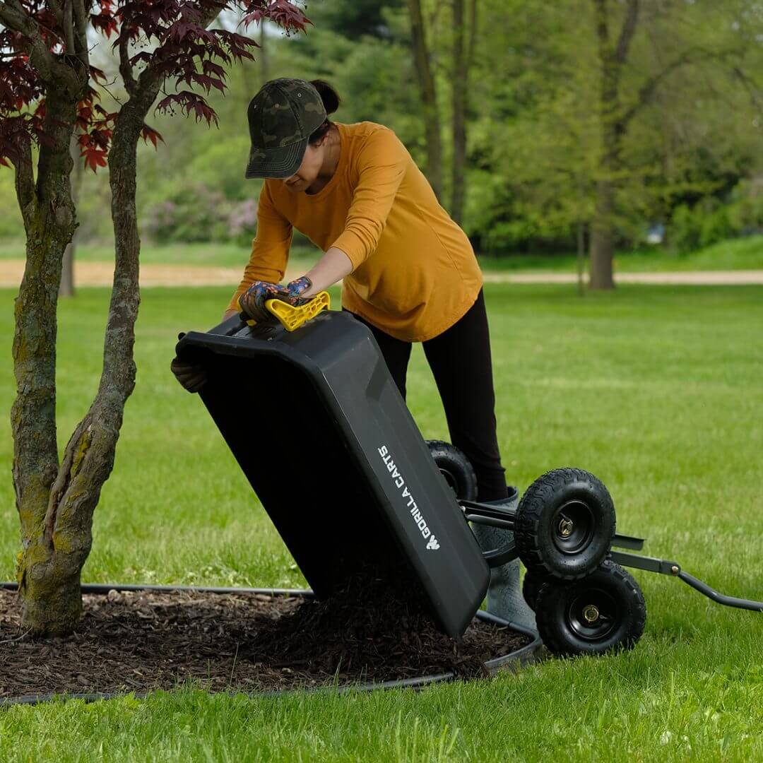 GCG-4 (-C) - Gorilla