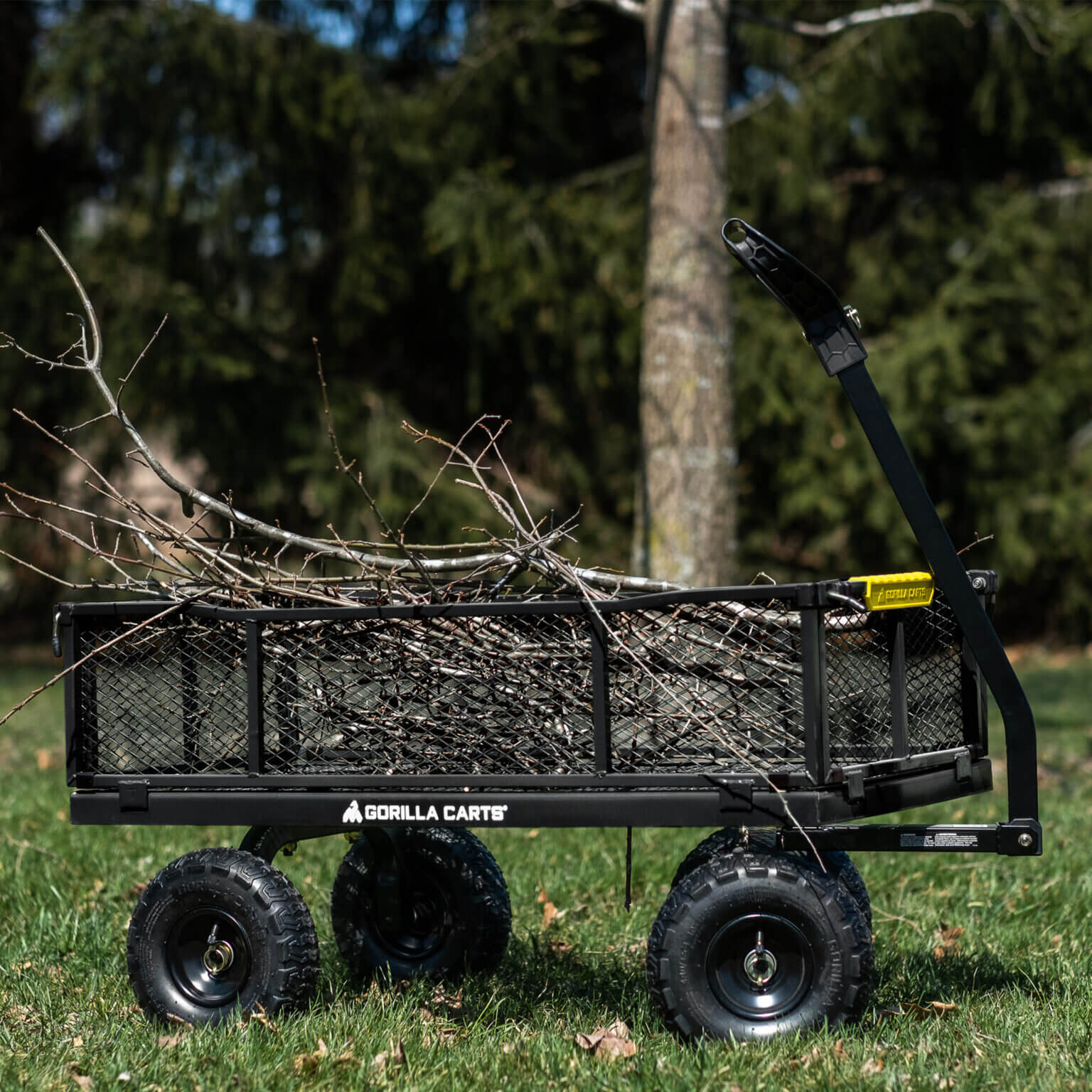 GOR400(-COM) - Gorilla