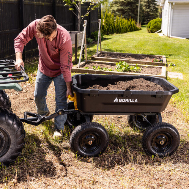 GCG-4 (-C) - Gorilla