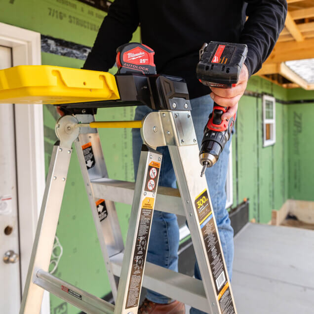 GL2A-11(C) - Gorilla